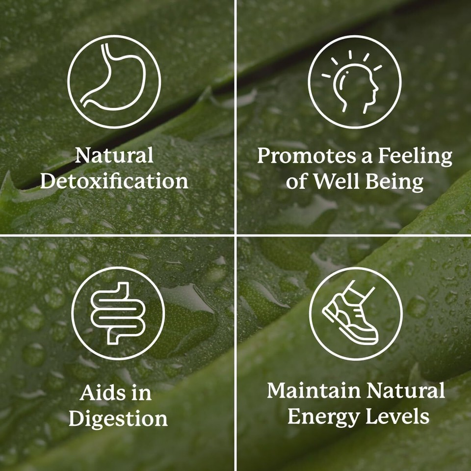 Nature's Sunshine Lower Bowel Stimulator - Helps Relieve Constipation ...