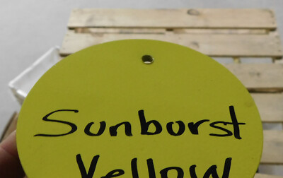 Sunburst Yellow 49/21988 1 LB Tiger Drylac | eBay