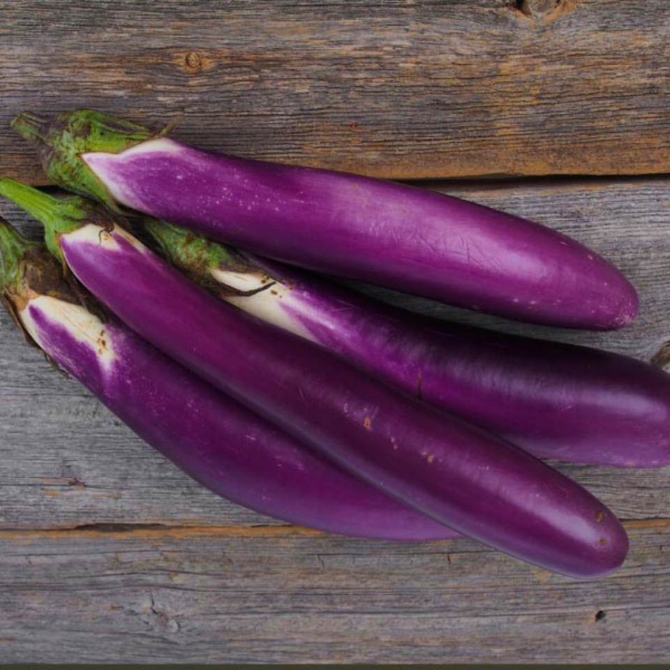 Fresh Chinese Eggplant Seeds | Ping Tung | Heirloom Non-GMO | Asian ...