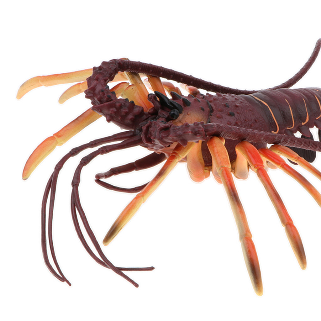 Realistic Ocean Animal Model Figurine Kids Toy Gift Home Decor Spiny ...