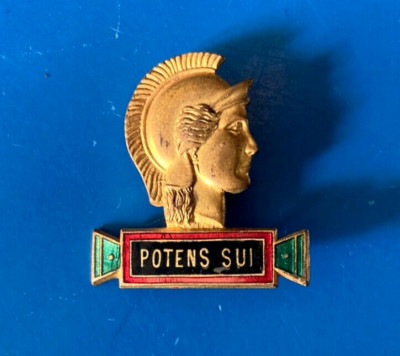 MacRobertson Girls High School Badge No. 3111 Made By K.G. Luke ...