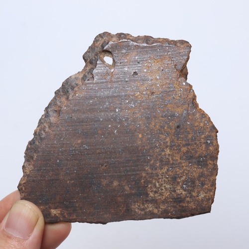 25g Chondrite Meteorite Slice,NWA unclassified Meteorite, From ...