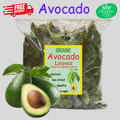 Dried Avocado Leaf ( Hojas de Aguacate ) Natural Organic Avocado Leaves ...