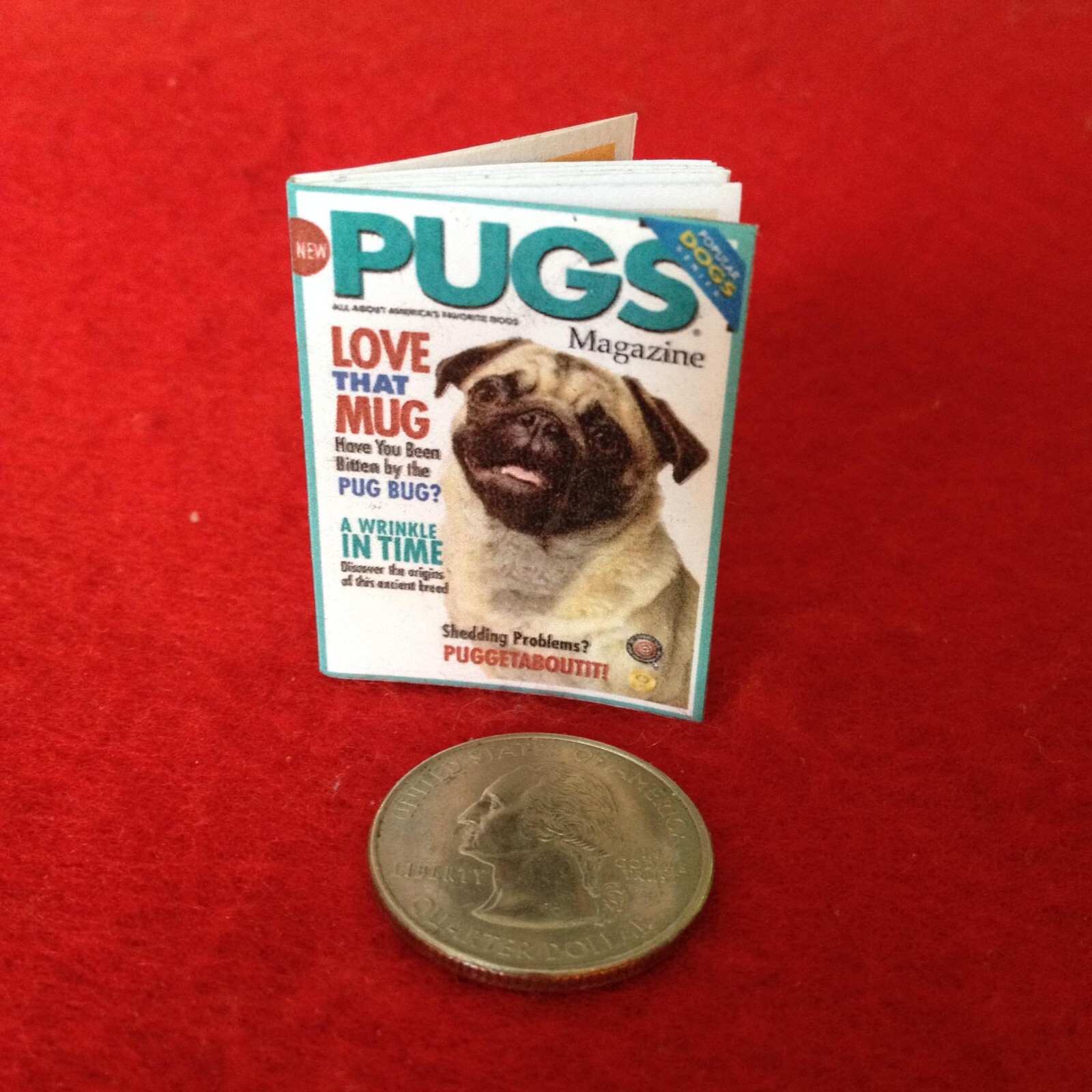1:6 Handmade mini toy for 11"-12" fashion dolls – Pugs magazine | eBay