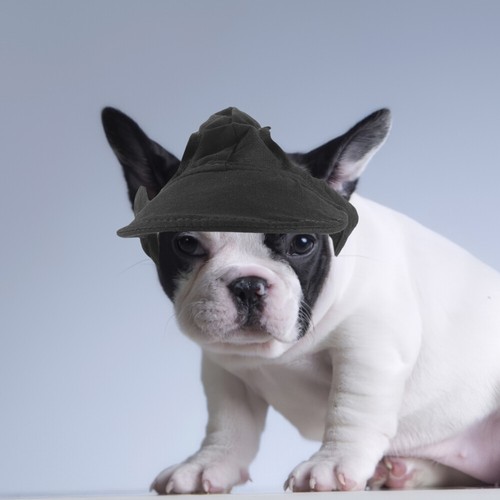 Pet Baseball Cap Dog Decorative Hat Headgear Small Pets Sun-shading | eBay