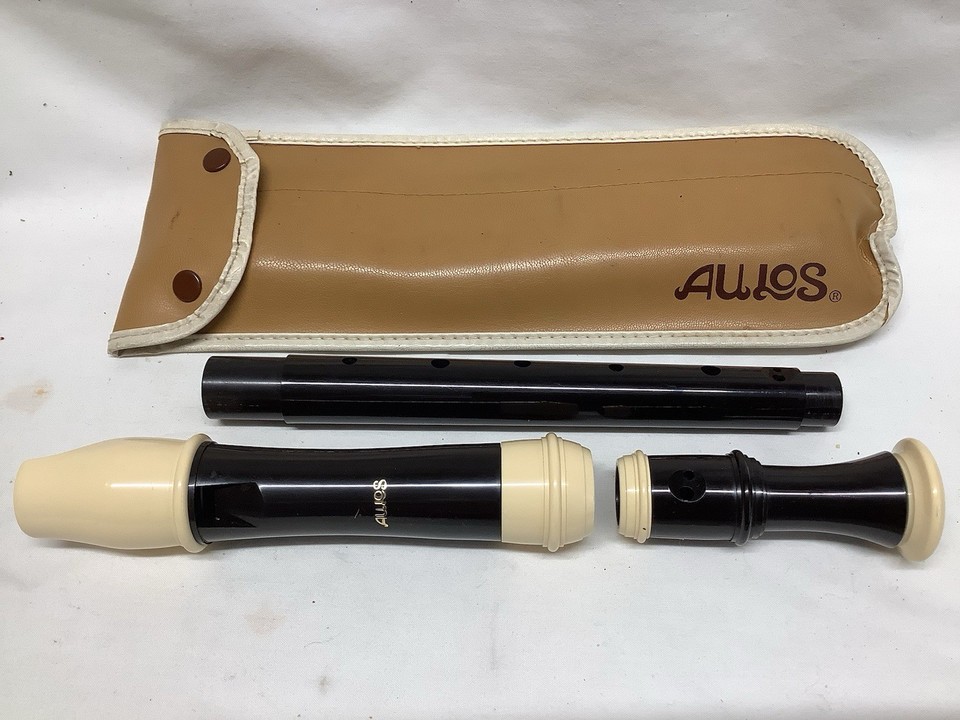 AULOS TREBLE RECORDER MUSICAL INSTRUMENT 18” LONG WITH CASE VGC | eBay UK