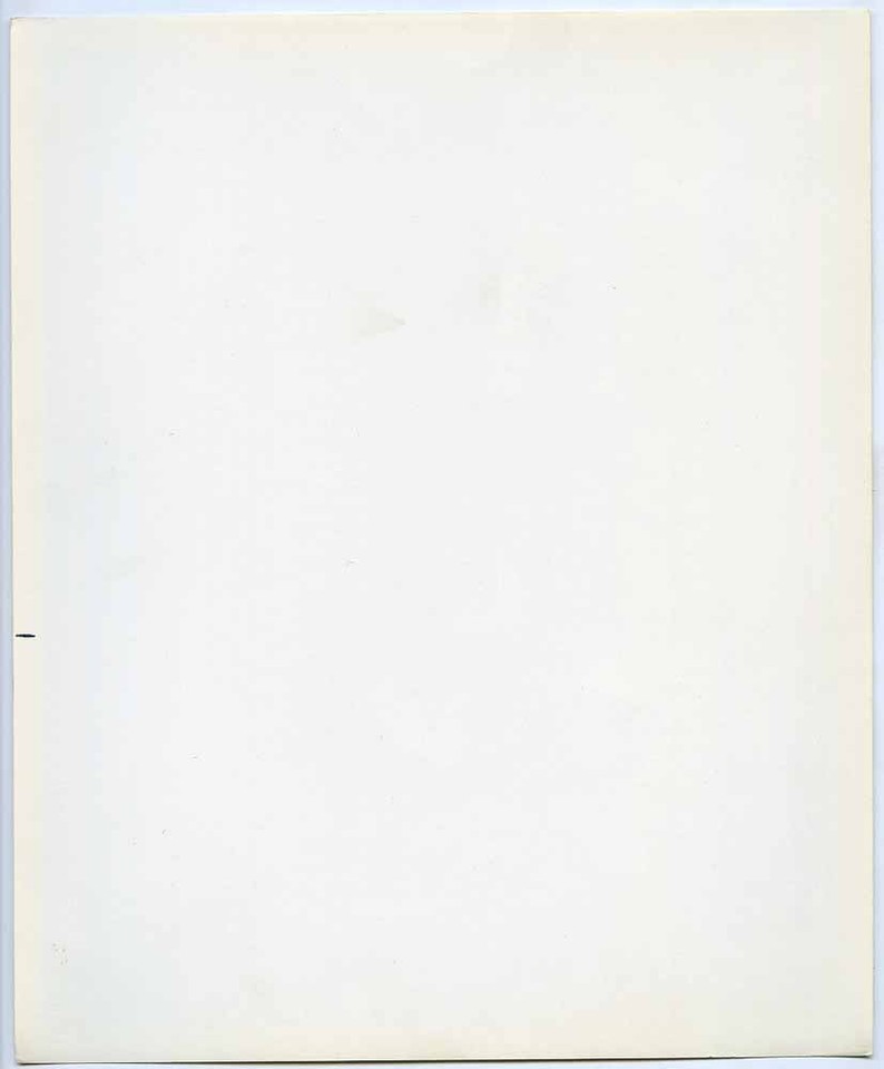 o13924 1967 orig photo animated Disney characters huey Luey & Duey ...