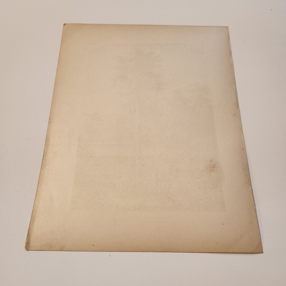 Virgin Forest At Kar-Nikobar c. 1894 Engraving (343) | eBay