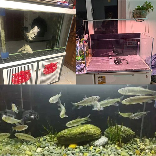 Vinyl Sticker Fish Tank Background No-glue Aquarium Light-proof Poster ...