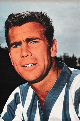 Football Photo>PETER SWAN Sheffield Wednesday 1962-63 | eBay