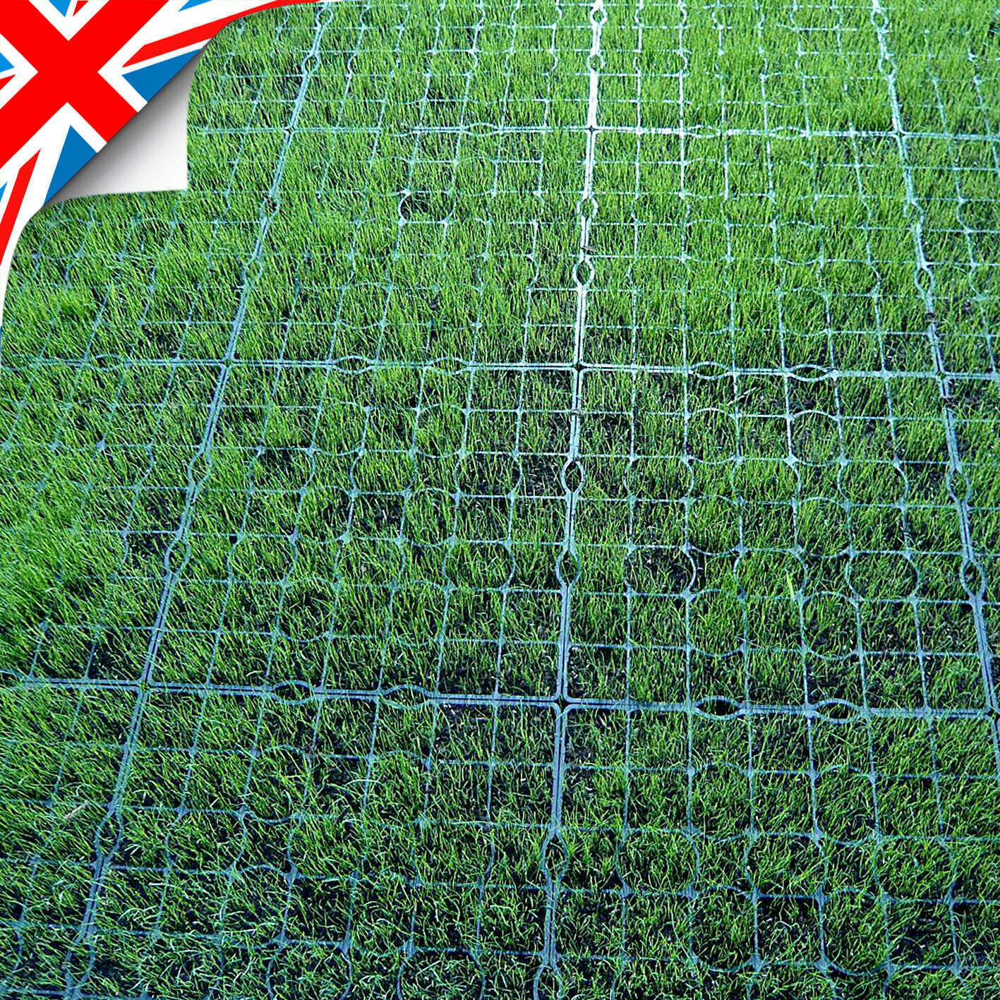 Lawn Parking GRATE / Grass GUARD Grid Drive Parking Plastic Paving ...