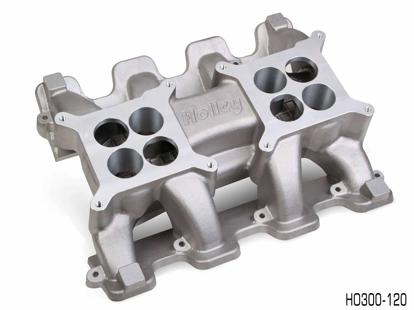 HOLLEY DUAL PLANE CARBY INTAKE MANIFOLD FOR GM LS1 LS2 LS6 HO300-120 | eBay