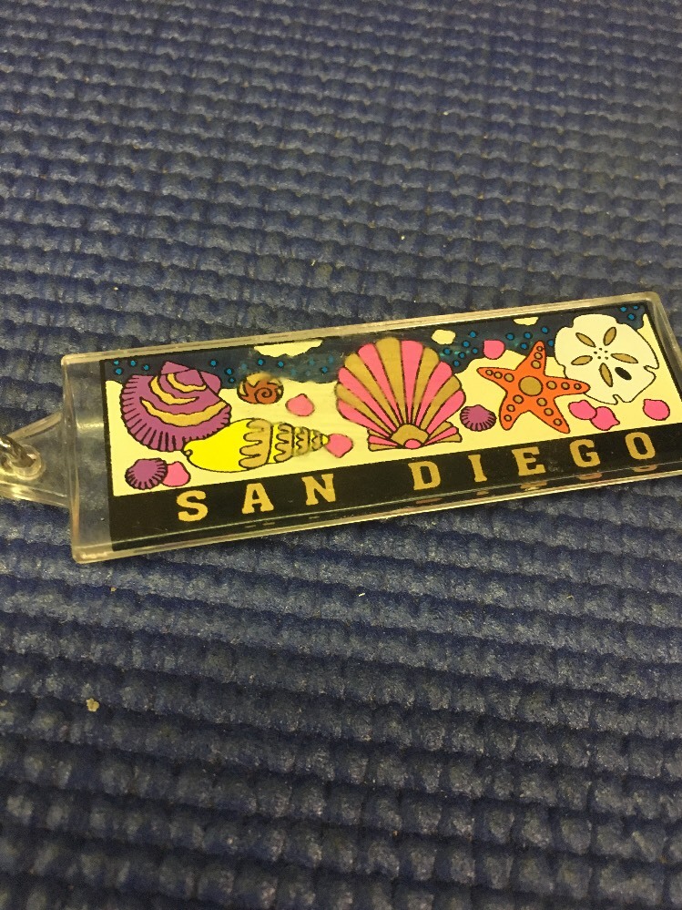TN2- San Diego Key Chain w/ Colorful Beach Scene, Sea Shells, Starfish ...