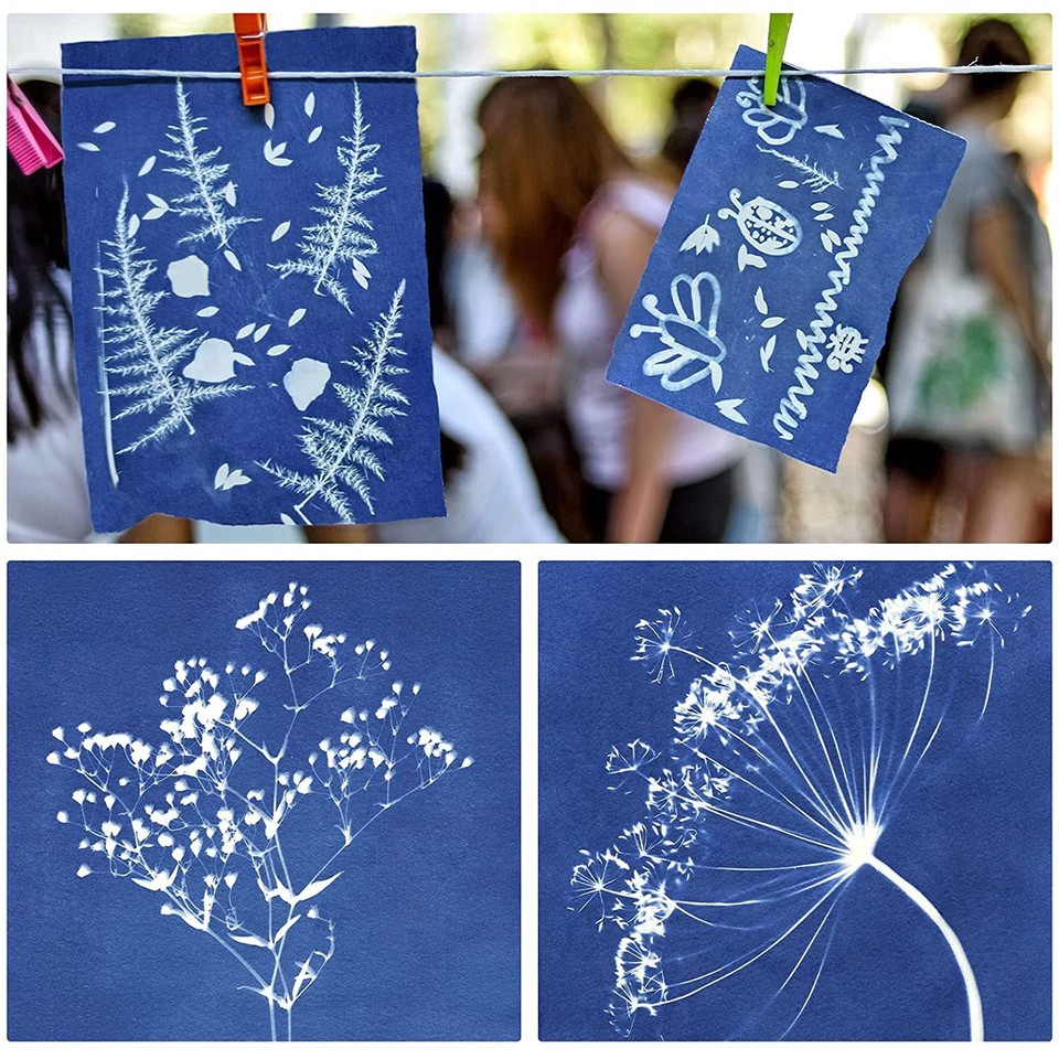 32 Pcs Sun Print Paper Kit Sun Art Paper Sensitivity Nature Printing ...