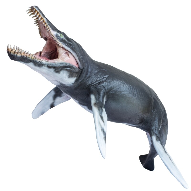 Kronosaurus Vs Megalodon Megalodon Livyatan Shonisaurus Kronosaurus