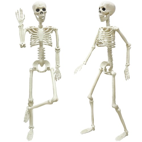 2PCS Halloween Posable Skeletons, 3FT Full Body Human Skeleton with ...