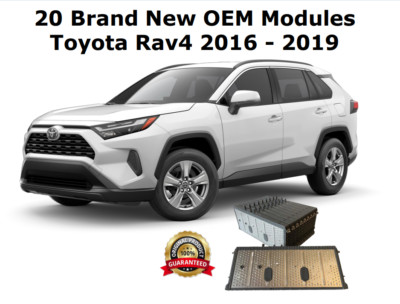 20 NEW Toyota Rav4 OEM Hybrid Battery Modules 2016 2017 2018 2019 | eBay