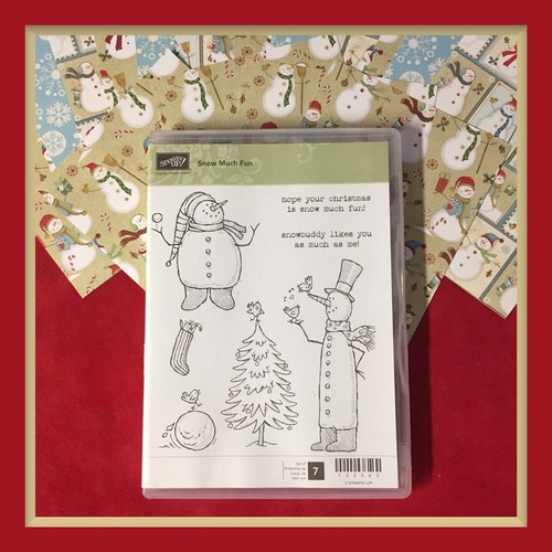 Stampin Up! SNOW MUCH FUN Stamp Set & fun "snowy" paper #260 | eBay