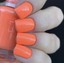 DND Duo Gel-Polish New Collection #783 - 819 Full Size 0.5 oz/ 15mL ...