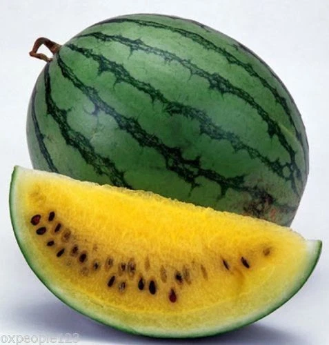 Yellow Crimson Watermelon