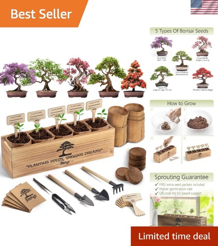 Bonsai Tree Kit – 5X Unique Japanese Bonzai Trees | Complete Indoor ...