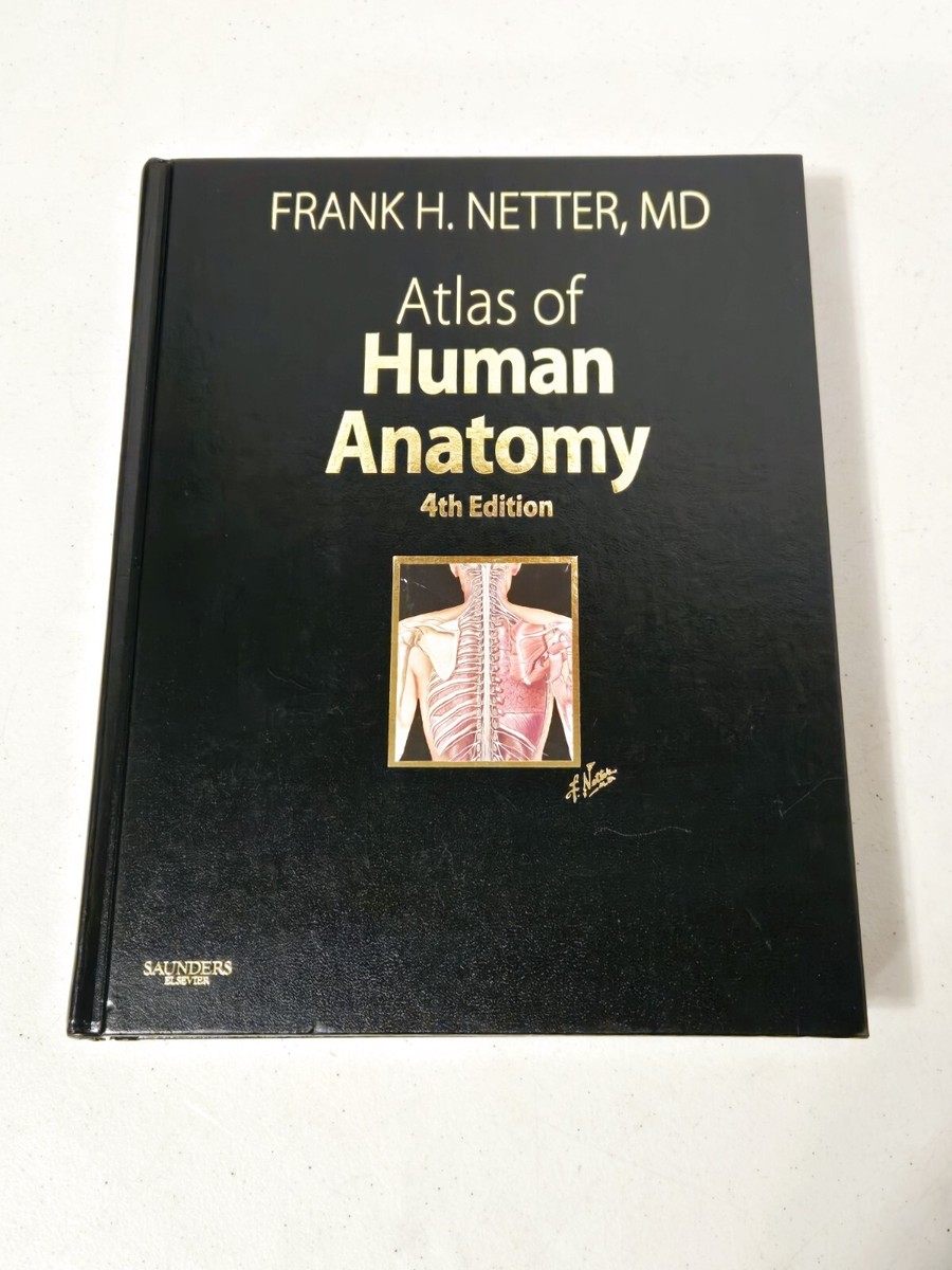 Frank Netter Atlas Of Human Anatomy More About English/Ukrainian