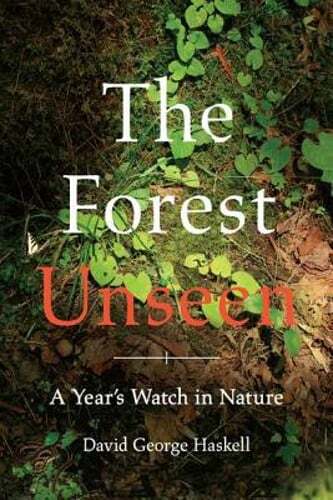 The Forest Unseen: A Year's Watch in Nature by David George Haskell ...