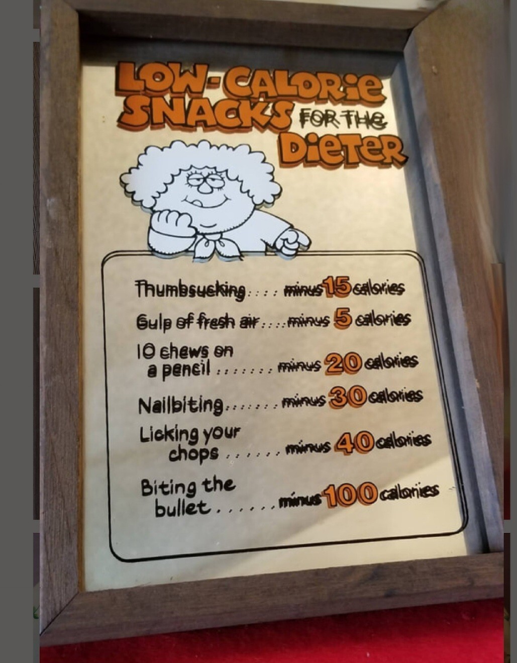 Funny Low Calorie Snacks For Dieter Wall Plaque | eBay
