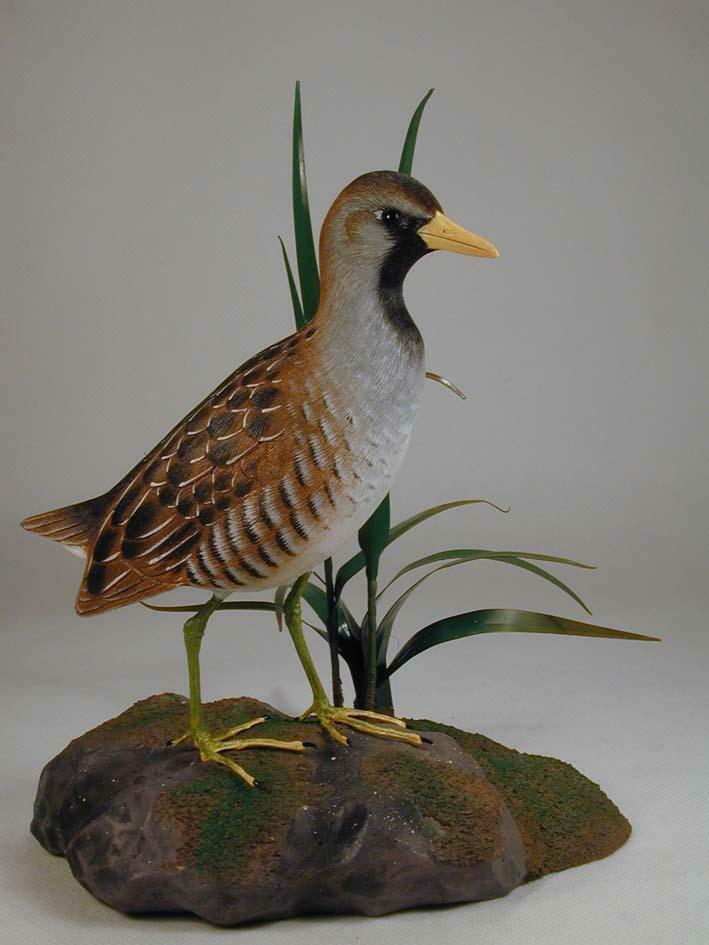 Sora Rail Original Wood Carving | eBay