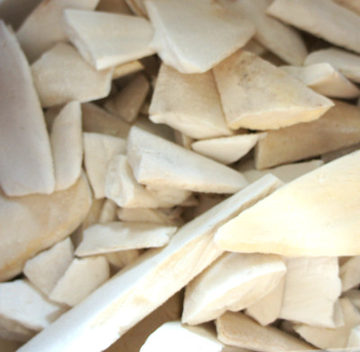 CUTTLEFISH BROKEN PIECES FOR BIRDS, SNAILS, TURTLES, CASTING ETC APPROX ...