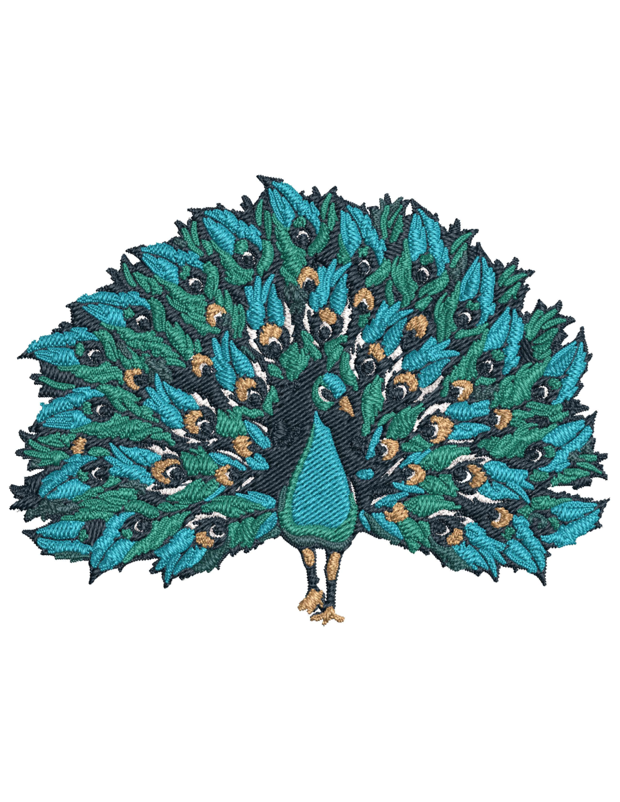 Beautiful Peacock Designs