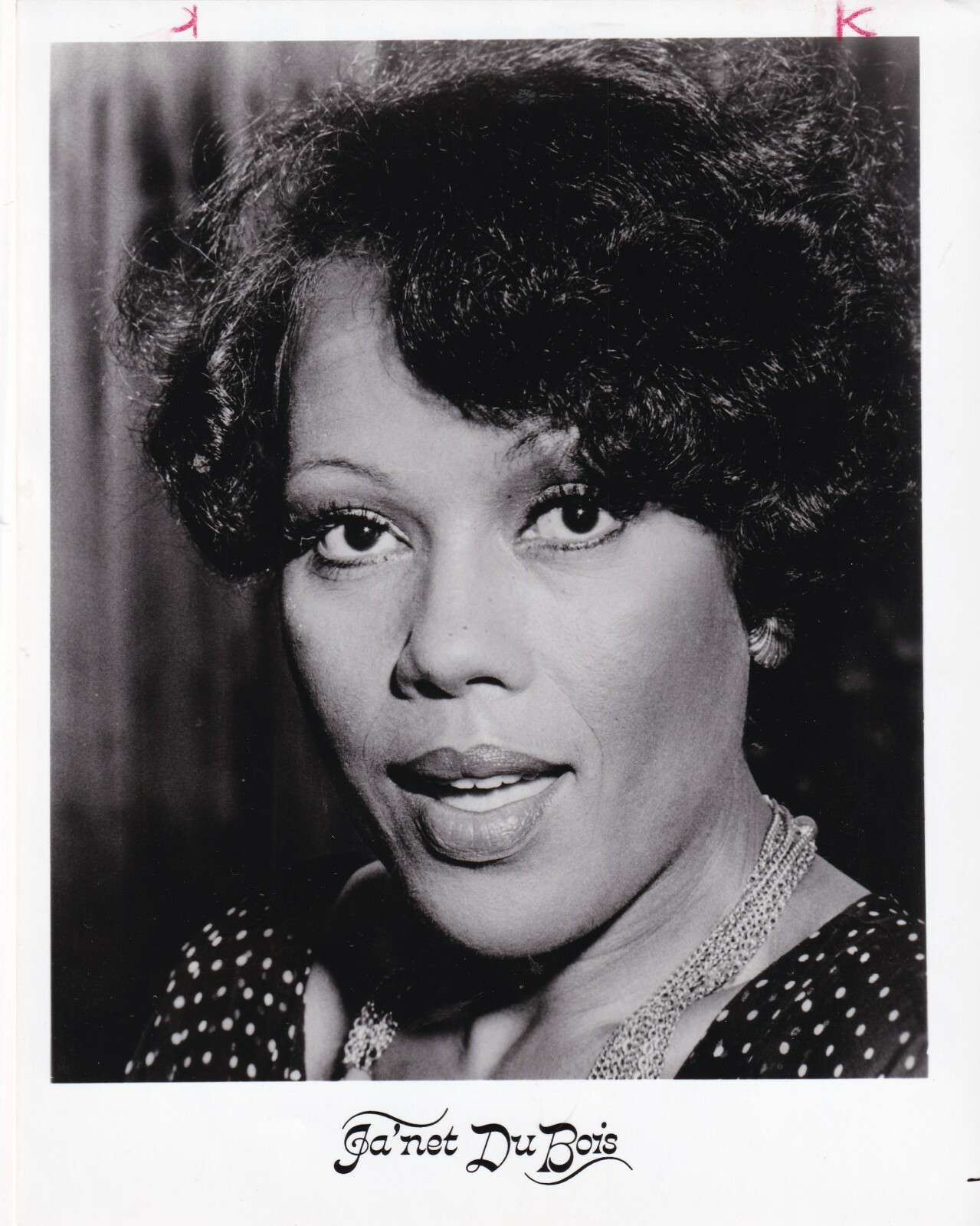 JANET DUBOIS LOVELY STYLISH PORTRAIT 1980 ORIG VINTAGE STUNNING PHOTO ...