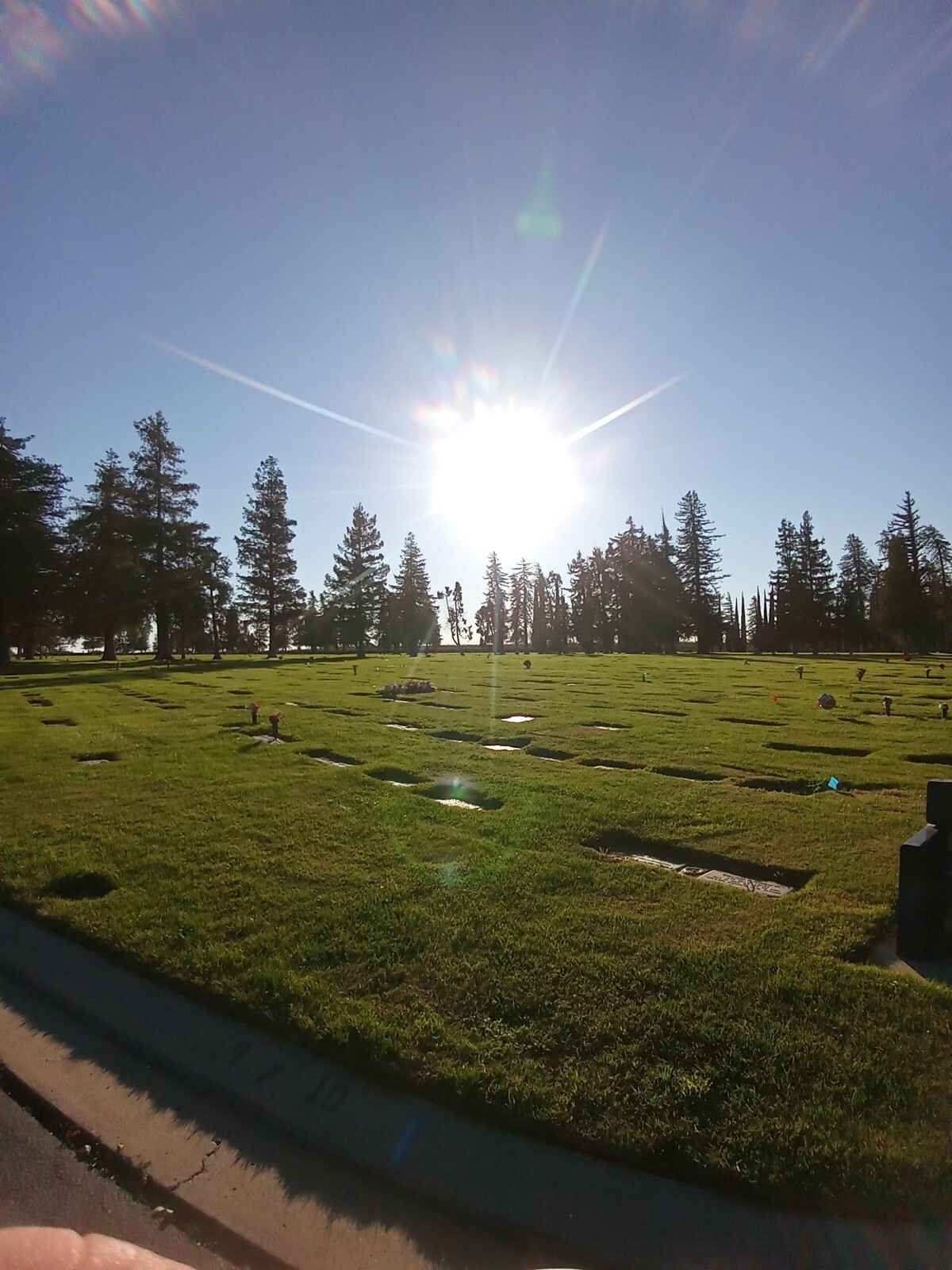 Lakewood Memorial Park. 900 Santa Fe Ave, Hughson, CA 95326. Call 209 ...