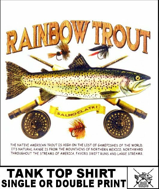 Rainbow Trout Fish Tank