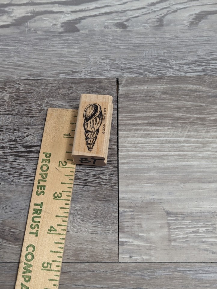 Stampin' Up! Rubber Stamp Set Stipple Shells Wood Mount | eBay