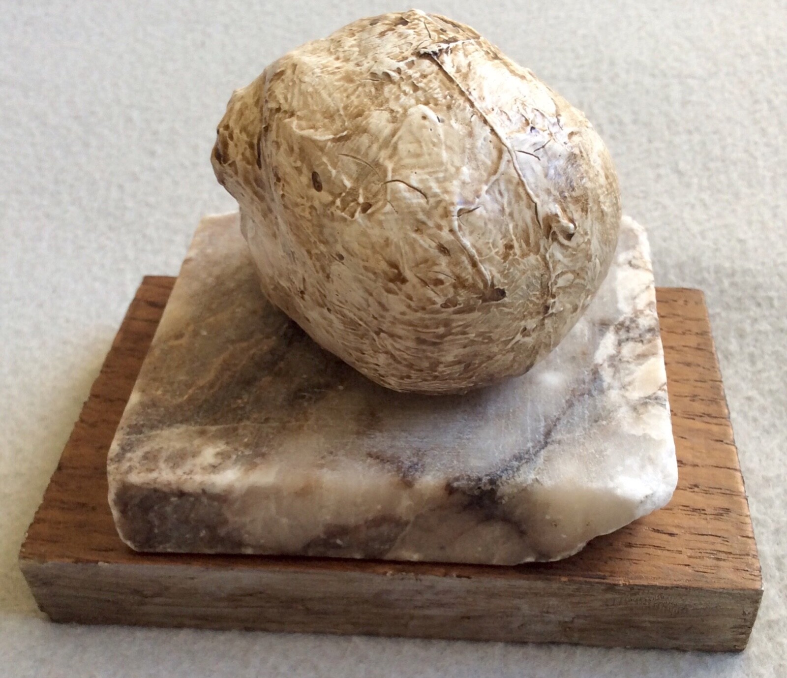 VINTAGE MEMENTO MORI PRIESTS ALTAR TABLE CHAMBER FIGURINE STATUE RELIC ...