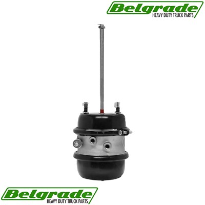 Spring Brake Type 30/30 Sealed, 179.SB3030S, NT3030STD78, GC3030 | eBay