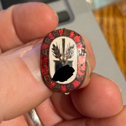 WW2 German National Labour Service - Reichsarbeitsdienst (RAD) Pin ...