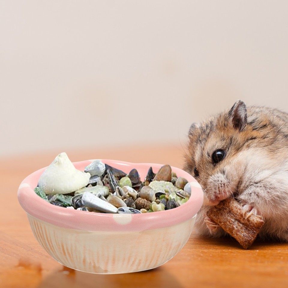 Hamster Food Bowl Hamster Bowl Ceramic Small Animal Bowl Hamster Food ...