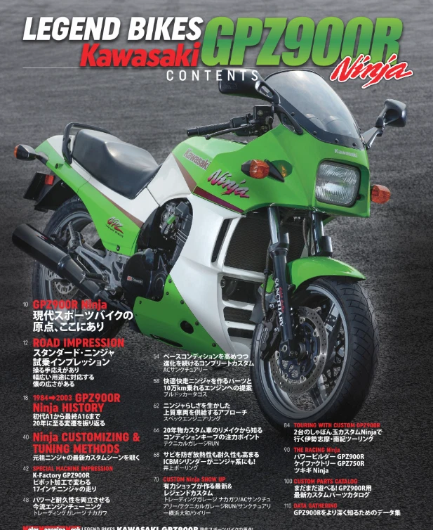 Custom Kawasaki Sport Bikes