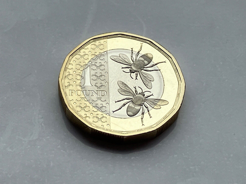 2023 PROOF 1 ONE POUND BEES COIN SPECIAL PRIVY IN HAND SOLD OUT | eBay