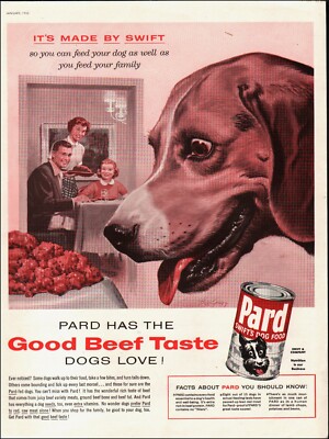 1955 Vintage ad PARD Swift's dog Food Cute Beagle Photo Can 10/22/22 | eBay