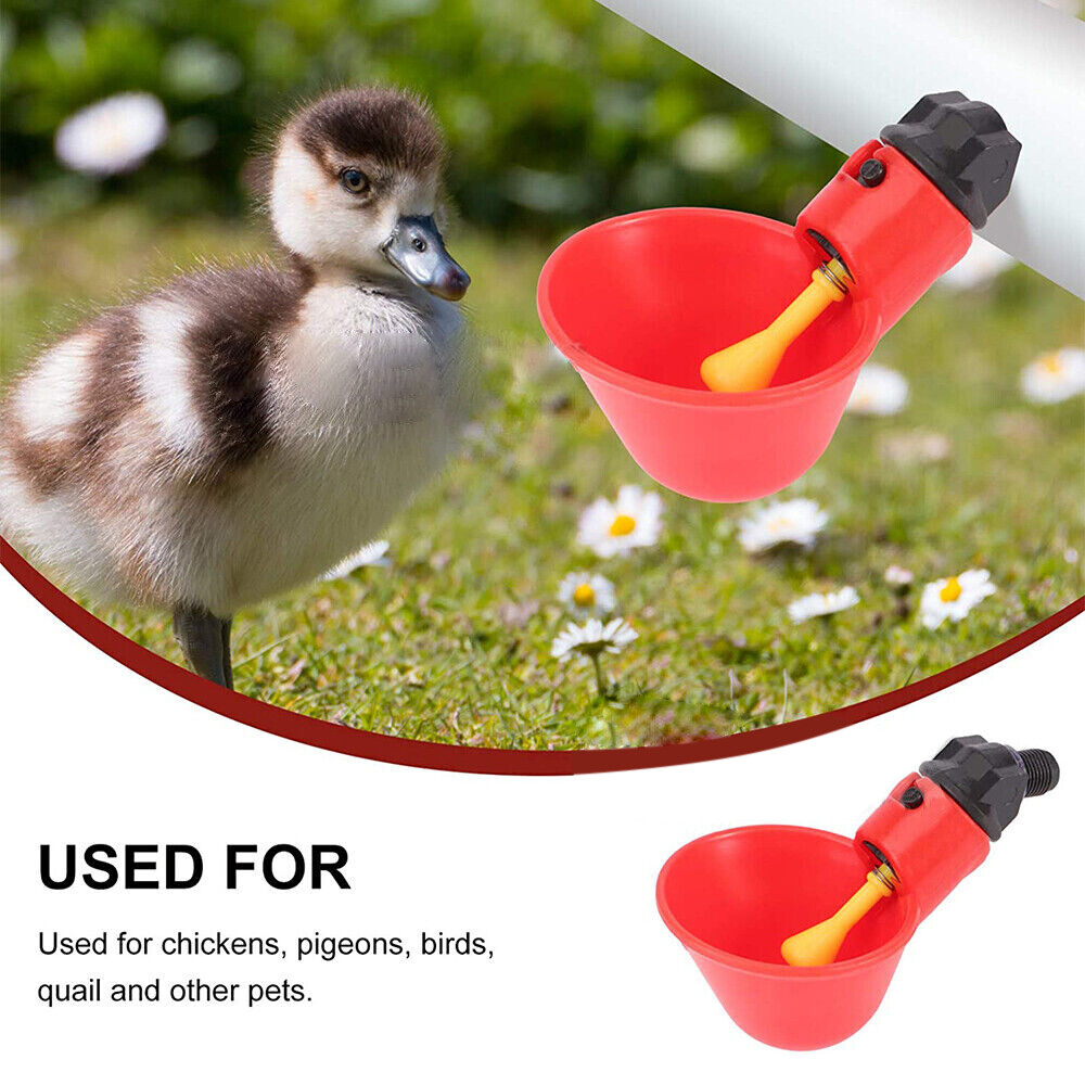 5/10x Feeder Bird Poultry Automatic Cups Chook Water Chicken Drinker ...