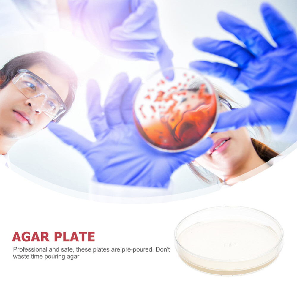 10 Pcs Prepoured Petri Plates Agar for Experiment Themed Child Flat ...
