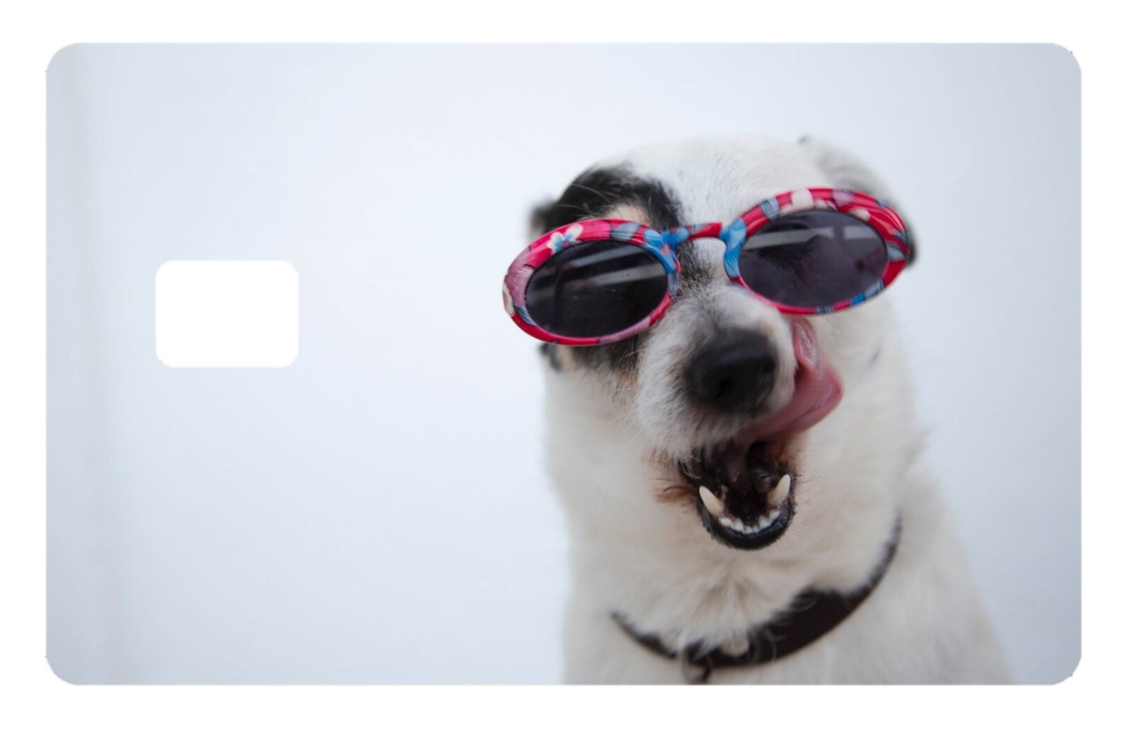 Cute Dog - Credit Card Decal | eBay