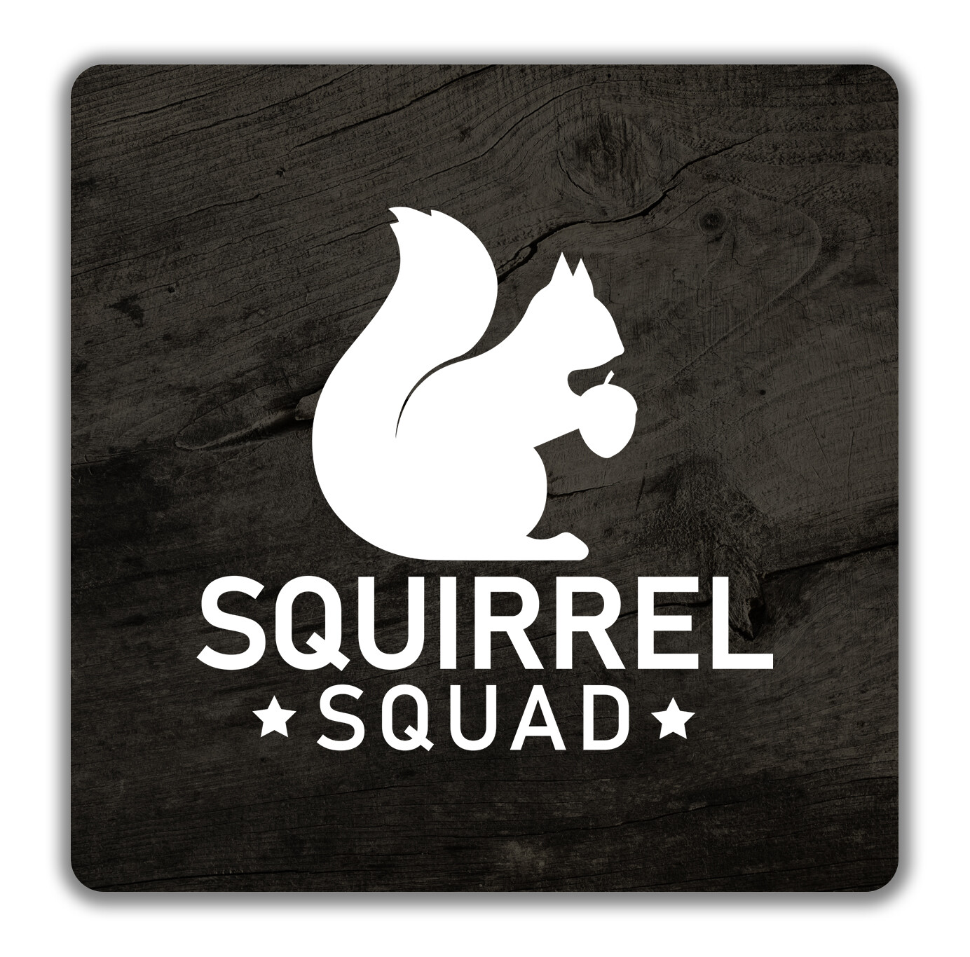 Funny Squirrel Squad 2 Pack Drinks Coasters Nature Lover Animal Gift ...
