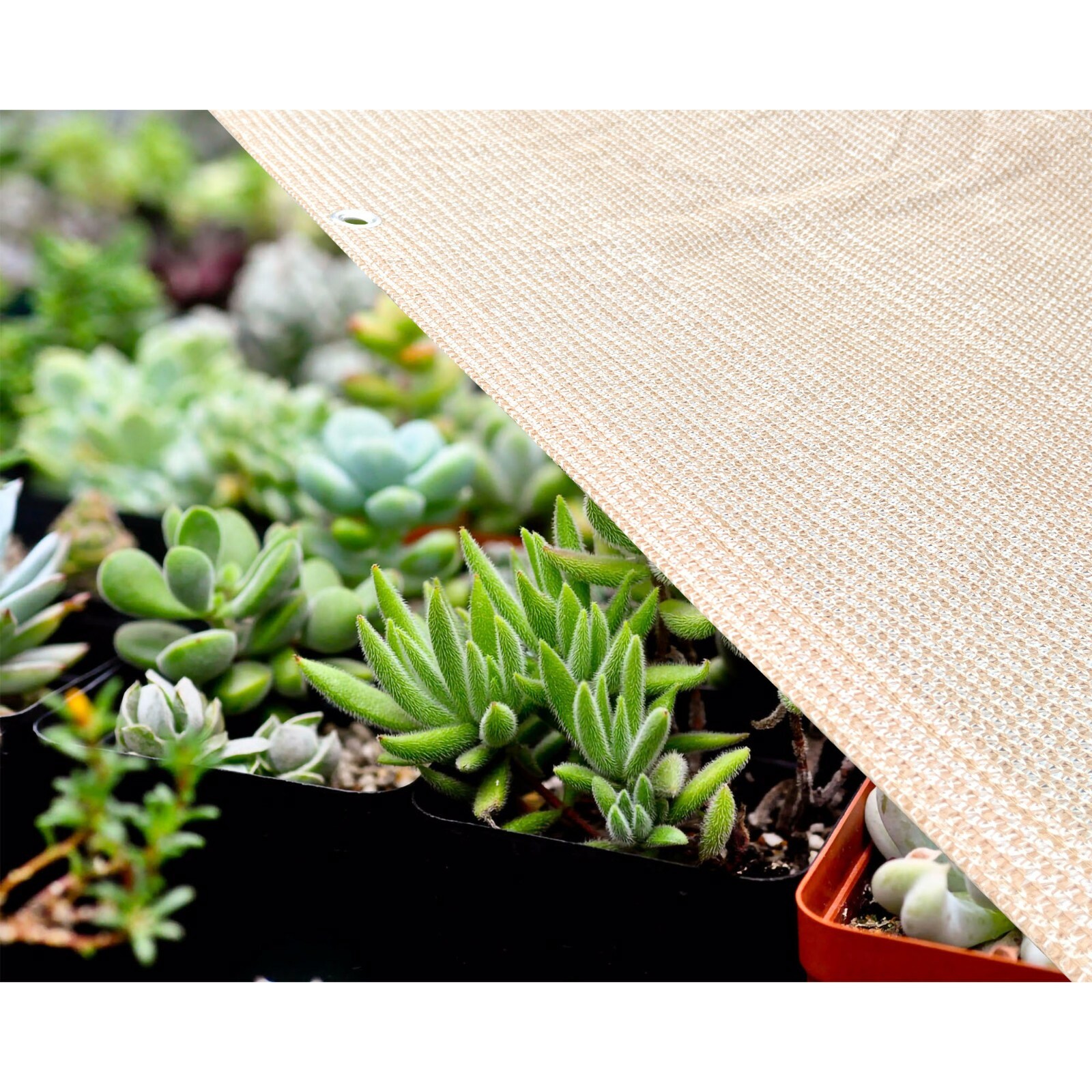 60% Sun Block Mesh Garden Net Shade Cloth with Grommets on 4 Sides ...