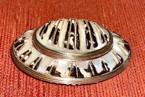 ANTIQUE GEORGIAN Carved COWRIE SHELL SNUFF BOX - Silver Plated Brass ...