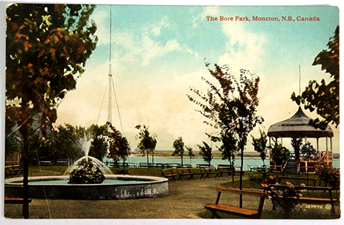 Postcard The Bore Park, Moncton, N.B. Canada Vintage | eBay