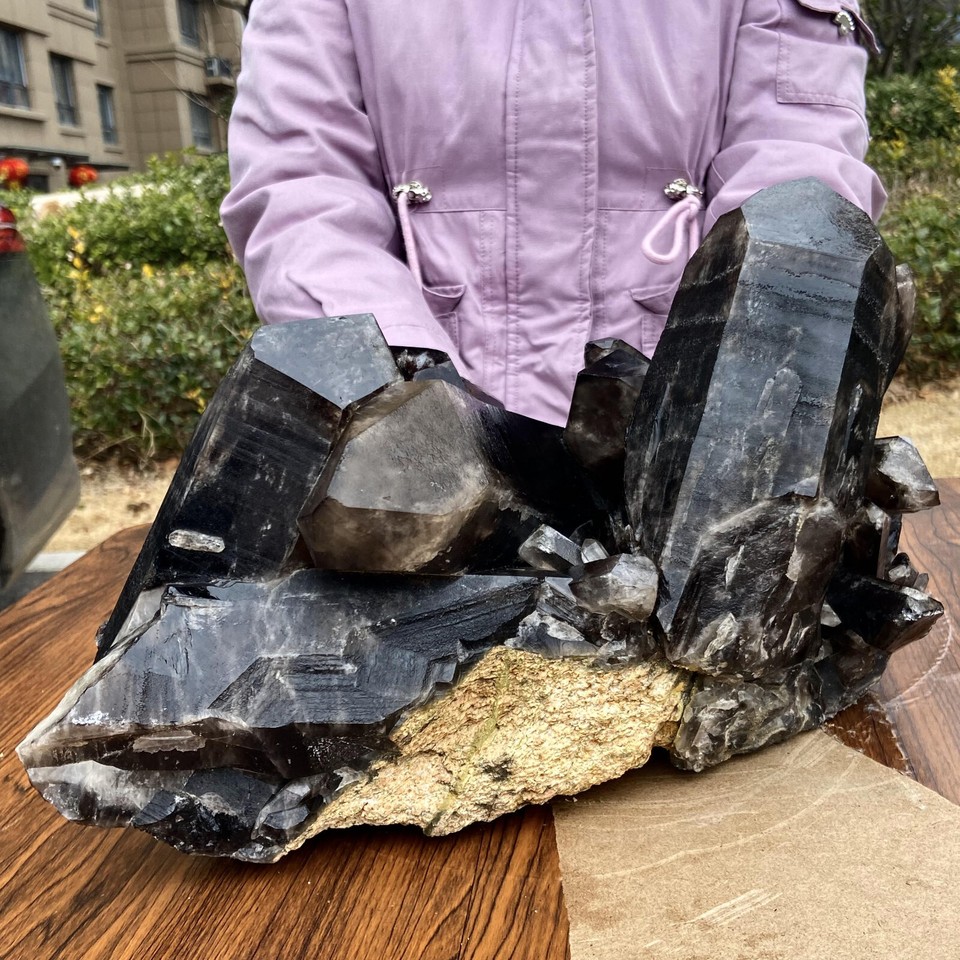 26.69LB High quality black crystal quartz cluster flower - rare ...